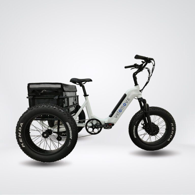 VMST4 Front Loader Electric Cargo Tricycle - Velomove