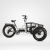 VMST4 Front Loader Electric Cargo Tricycle - Velomove