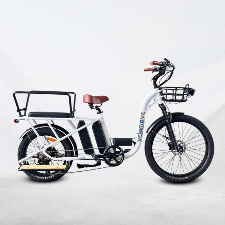VMST4 Front Loader Electric Cargo Tricycle - Velomove