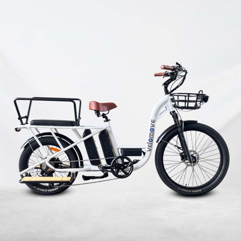 VMST4 Front Loader Electric Cargo Tricycle - Velomove